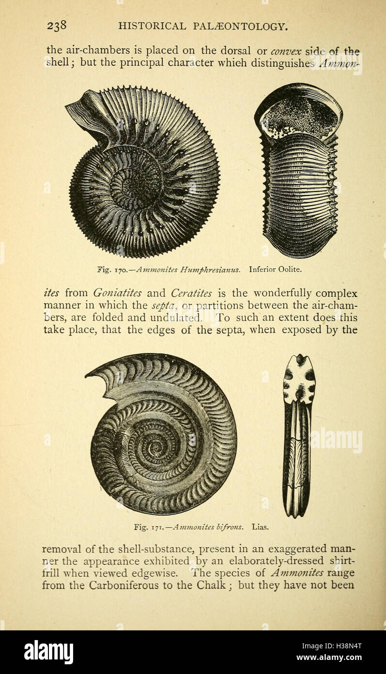 This text explores the geological history of Earth, detailing the ...