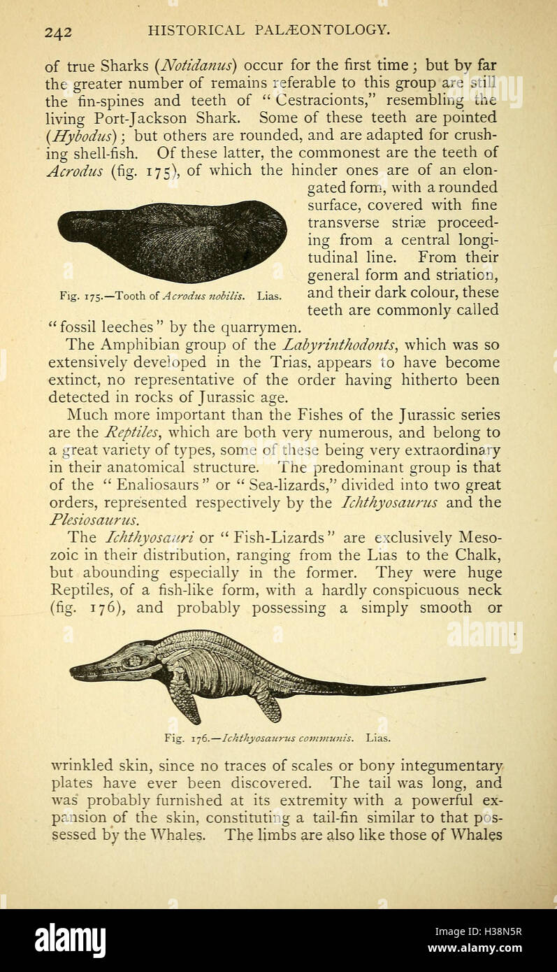 This section focuses on the Earth's early life history, exploring the ...