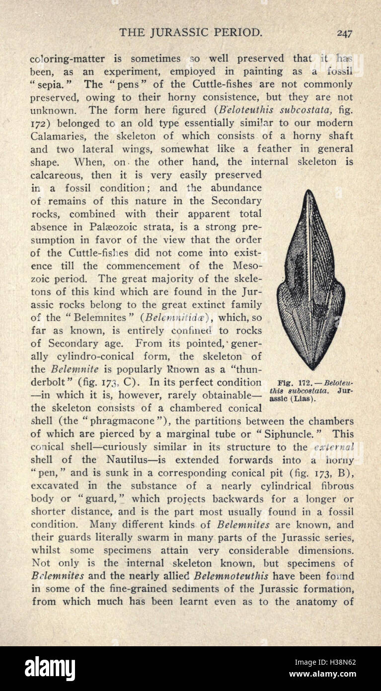 This volume continues the exploration of Earth’s history, focusing on ...