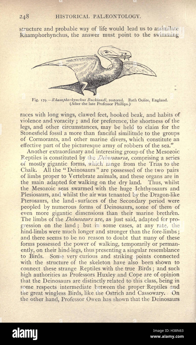 Formation of the earth stages hi-res stock photography and images - Alamy