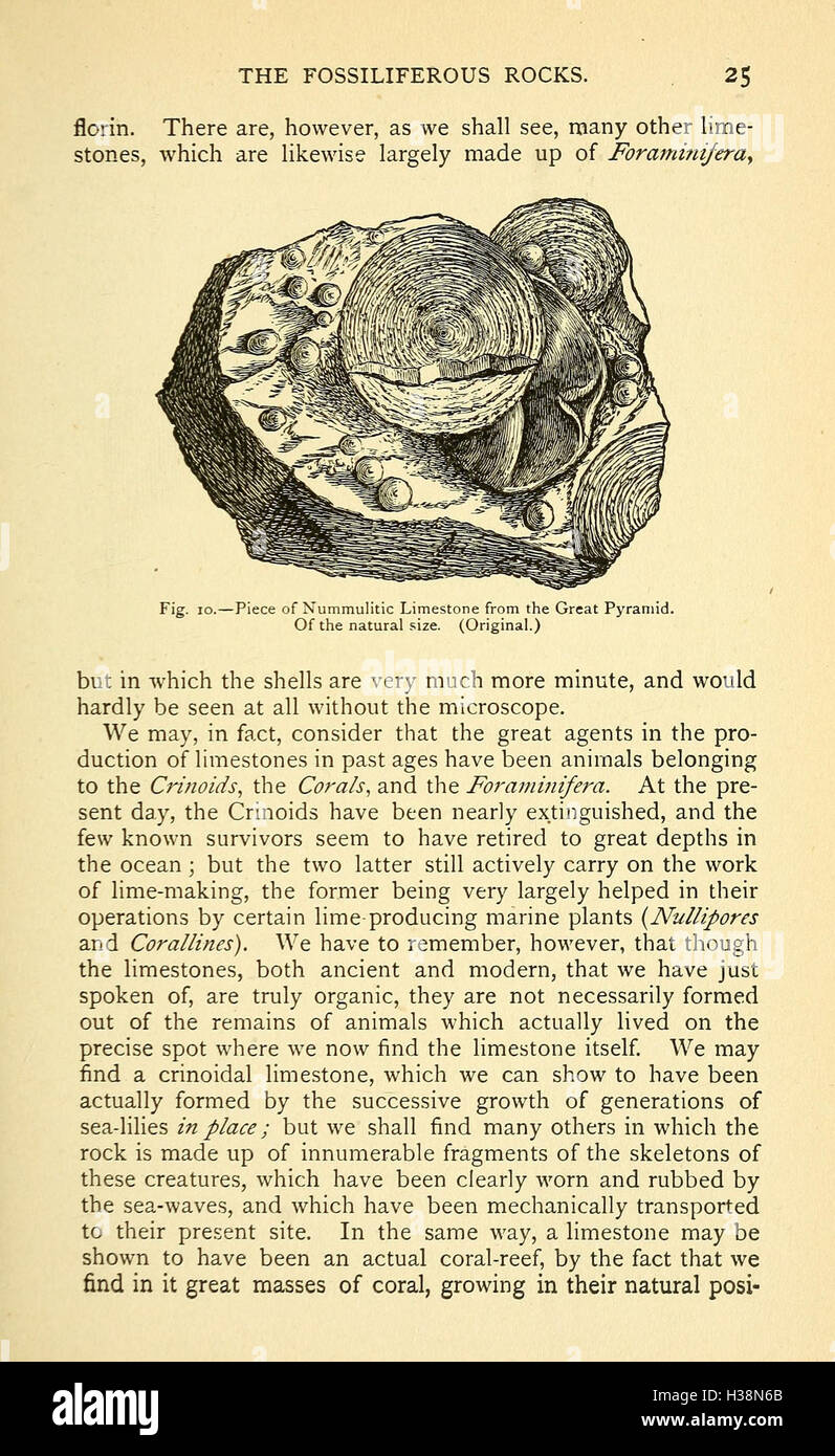 A study on the early history of life on Earth, exploring the origins of ...