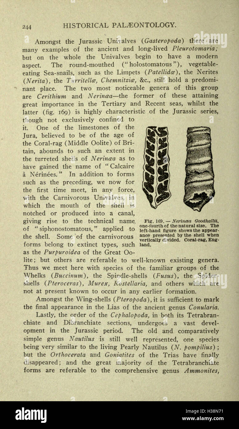 This work discusses the history of life on Earth, examining key ...