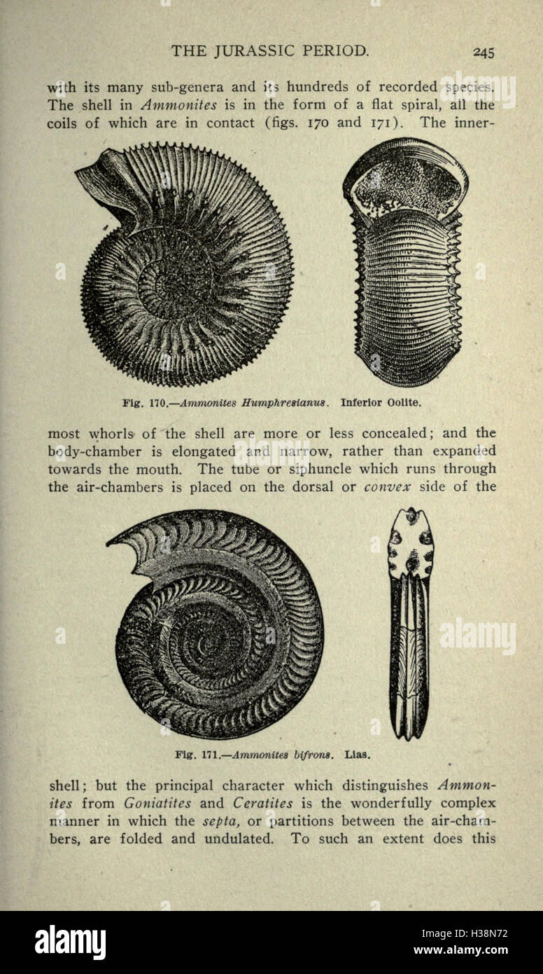 This text outlines the earth’s geological and biological history ...