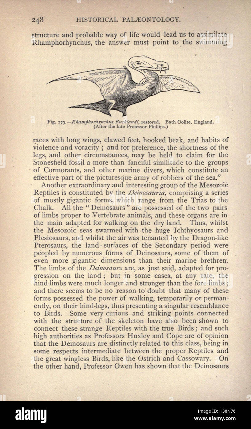 A study on the ancient life-history of Earth, focusing on evolutionary ...