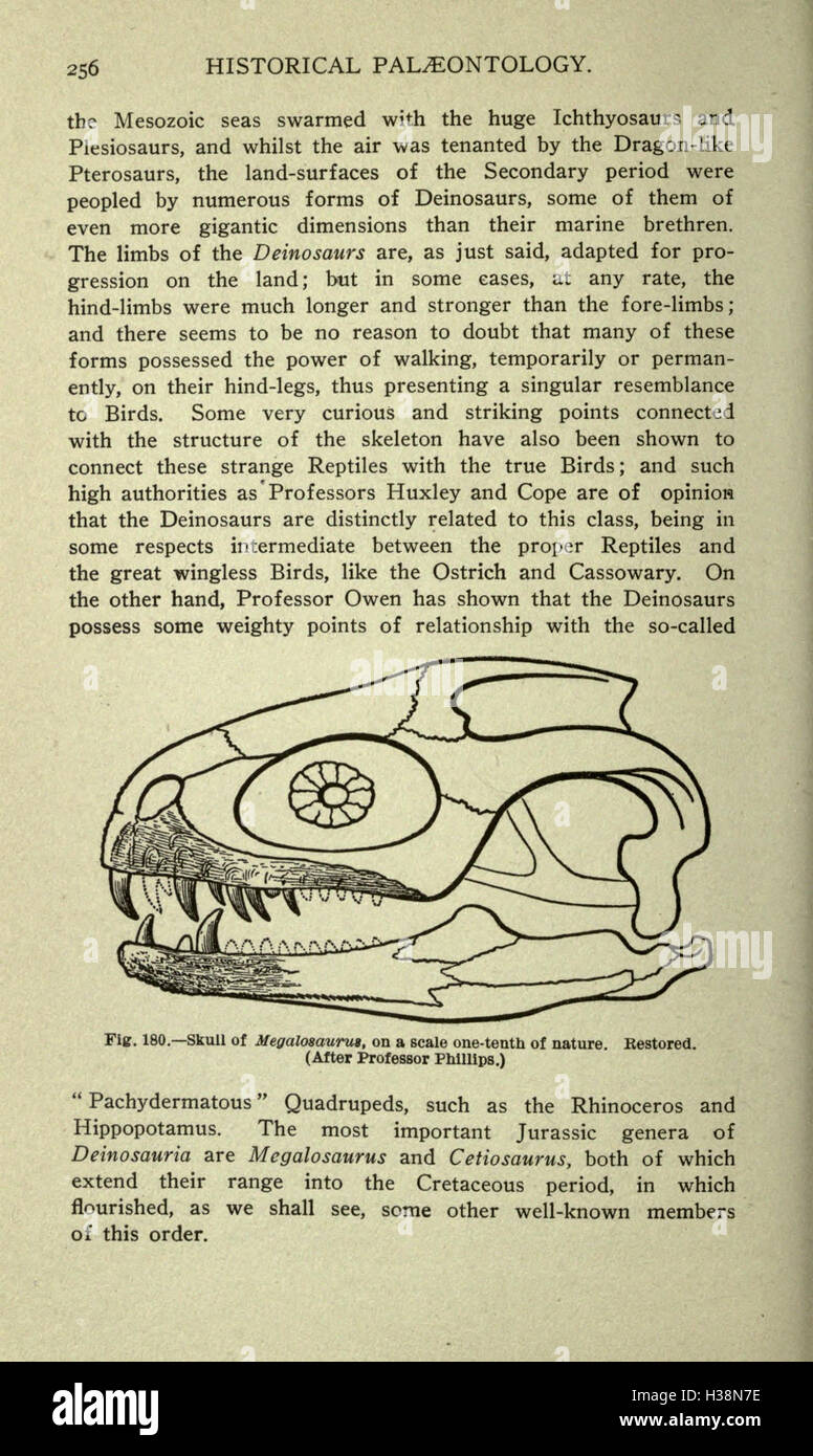 A detailed account of Earth's early life history, exploring the ...