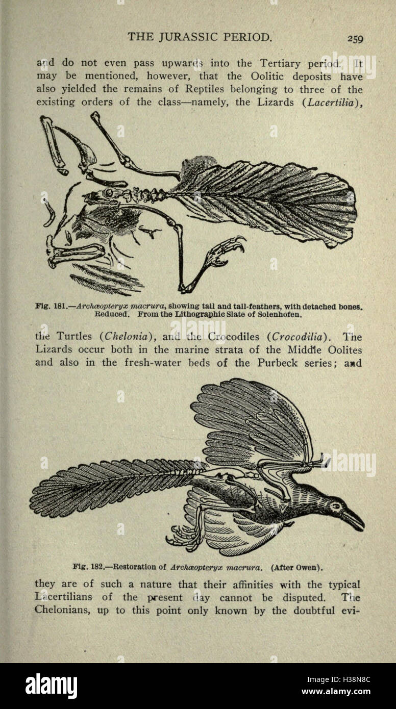 This work explores the early history of life on Earth, covering the ...