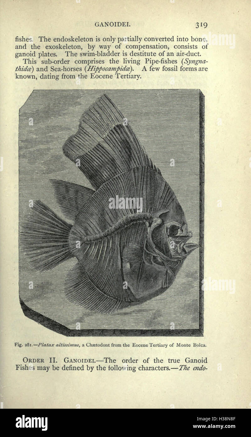 This manual serves as an educational guide to paleontology, focusing on ...