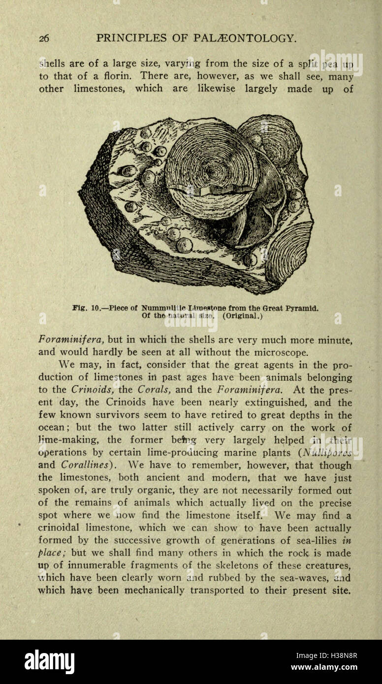 This text outlines the geological and biological history of the Earth ...