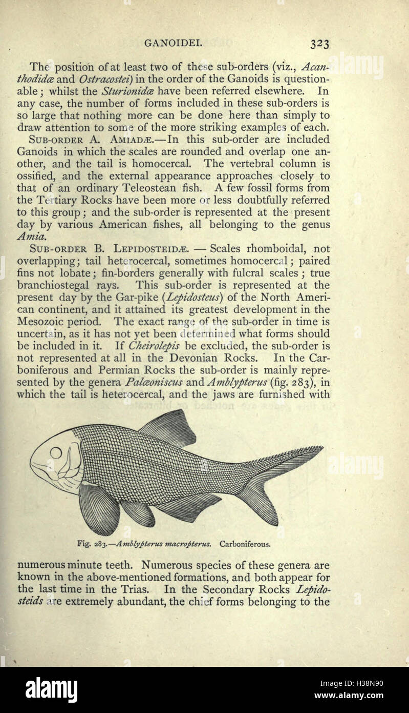 This manual provides an introduction to paleontology, focusing on the ...