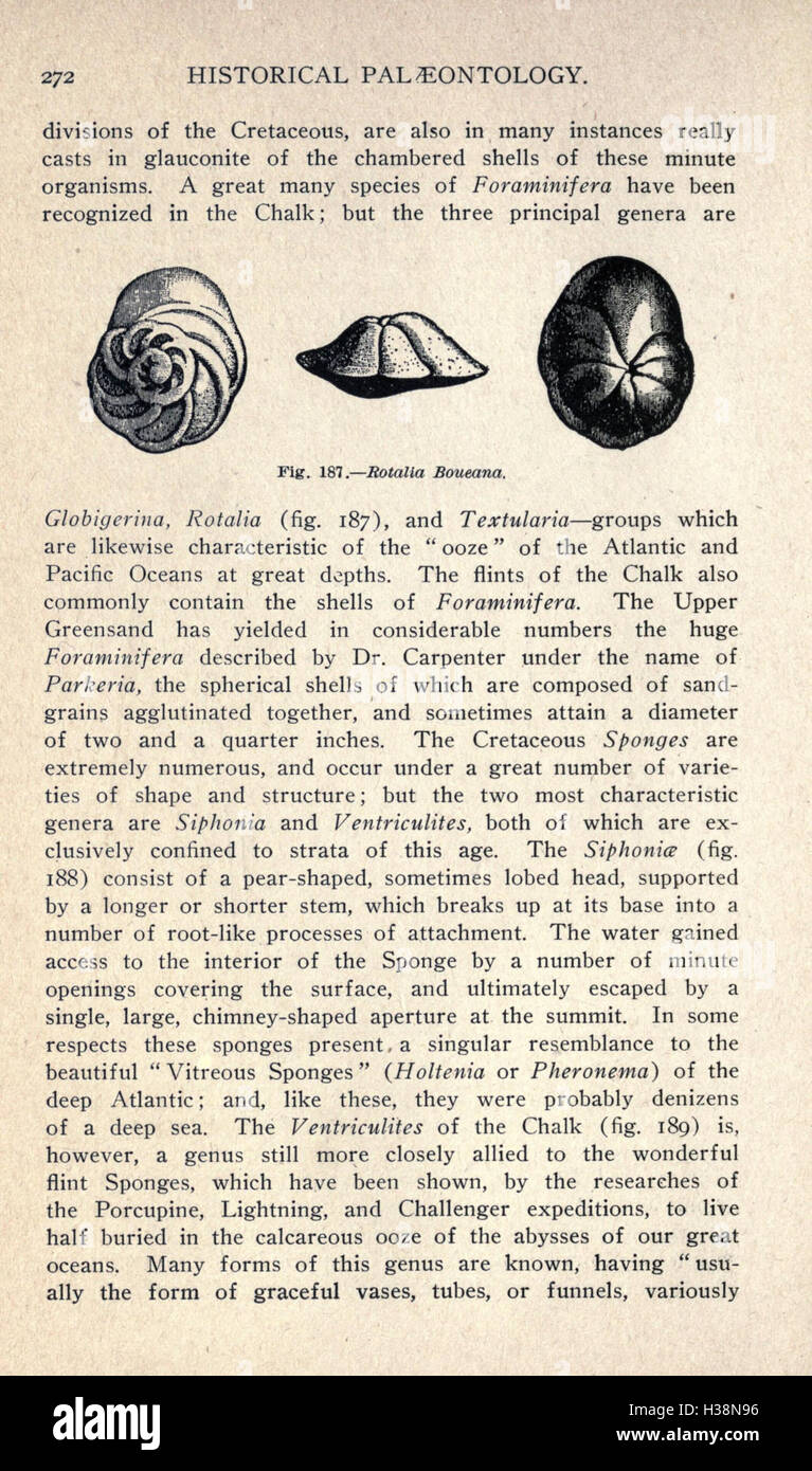 This work traces the geological history of Earth, outlining the key ...