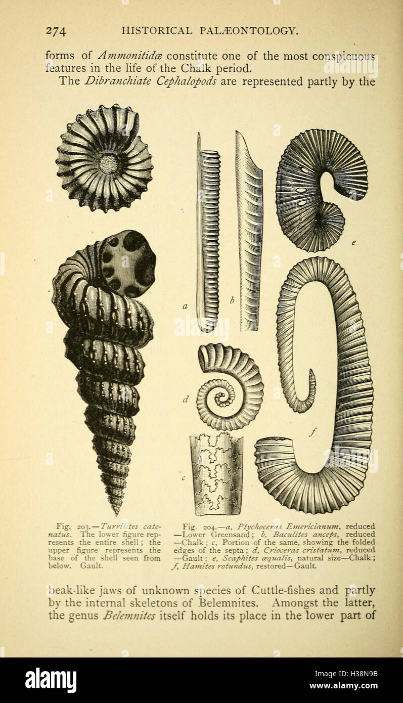 This work outlines the history of life on Earth, from its origins to ...