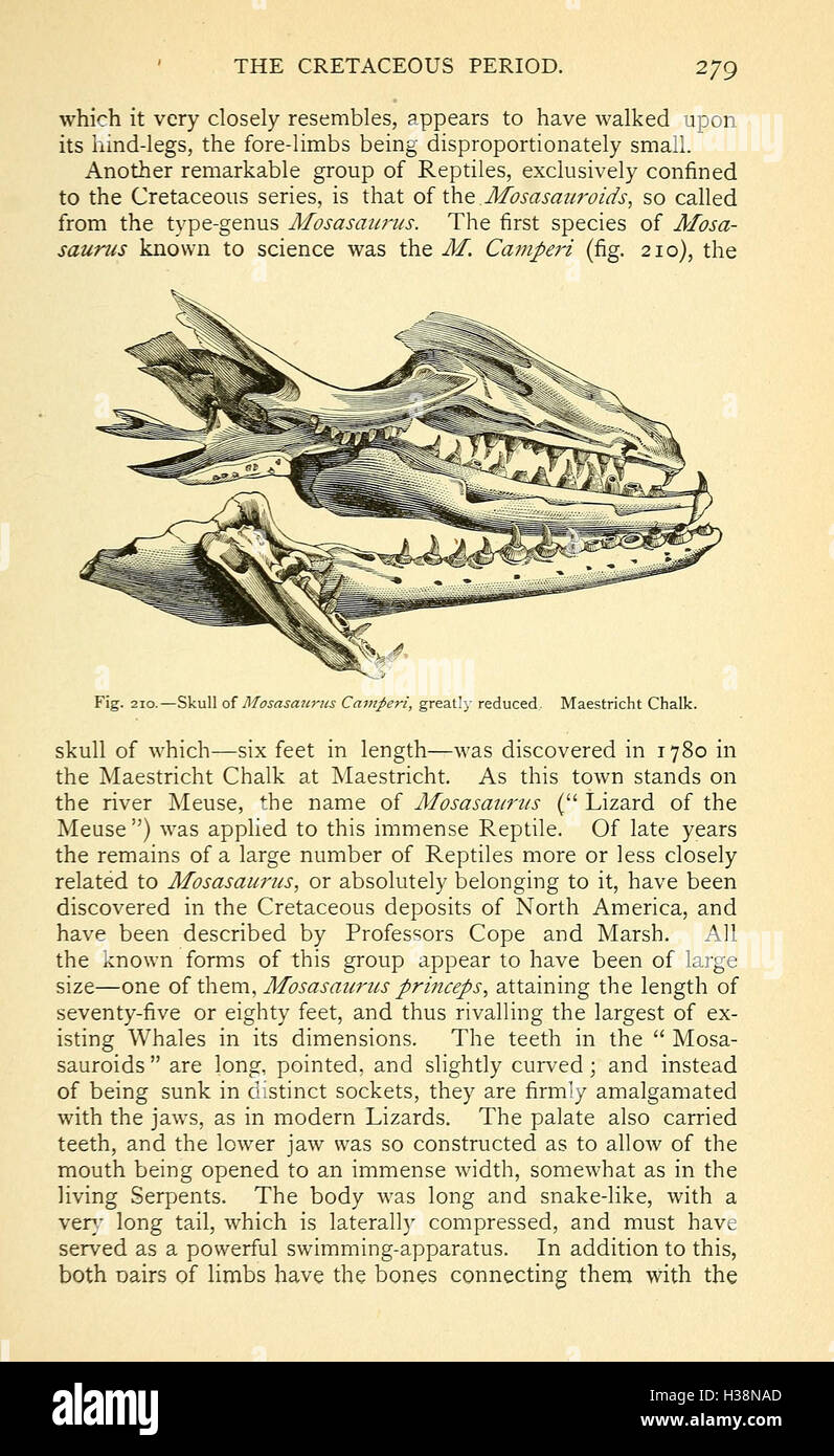 Explores the ancient life history of Earth, detailing geological eras ...