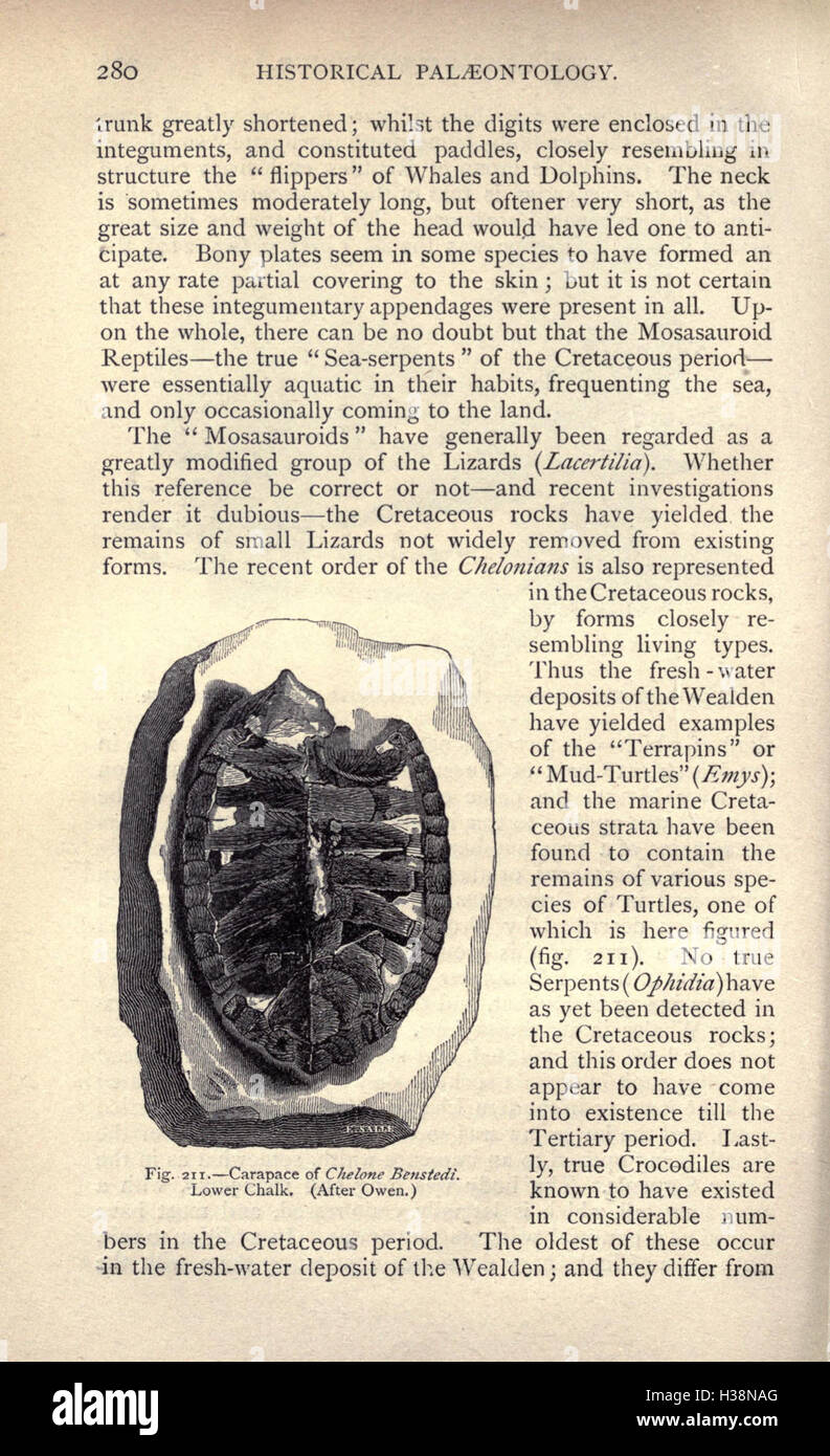 Detailed exploration earths history hi-res stock photography and images ...