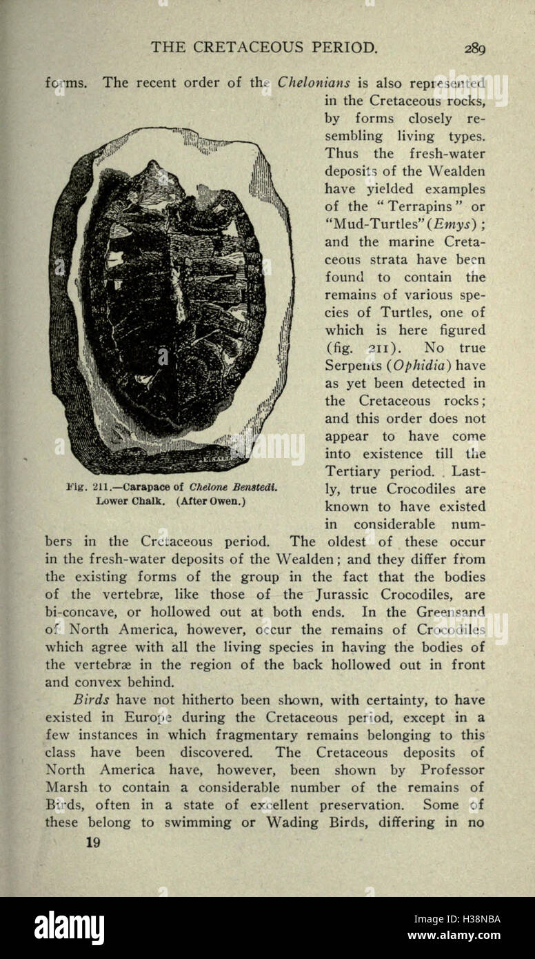 This text explores the Earth's geological history, tracing its ...