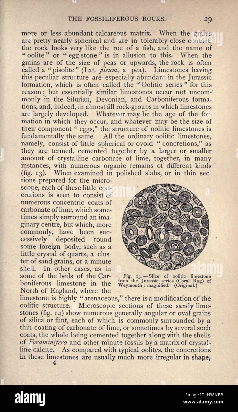 This work examines the ancient life-history of Earth, detailing the ...