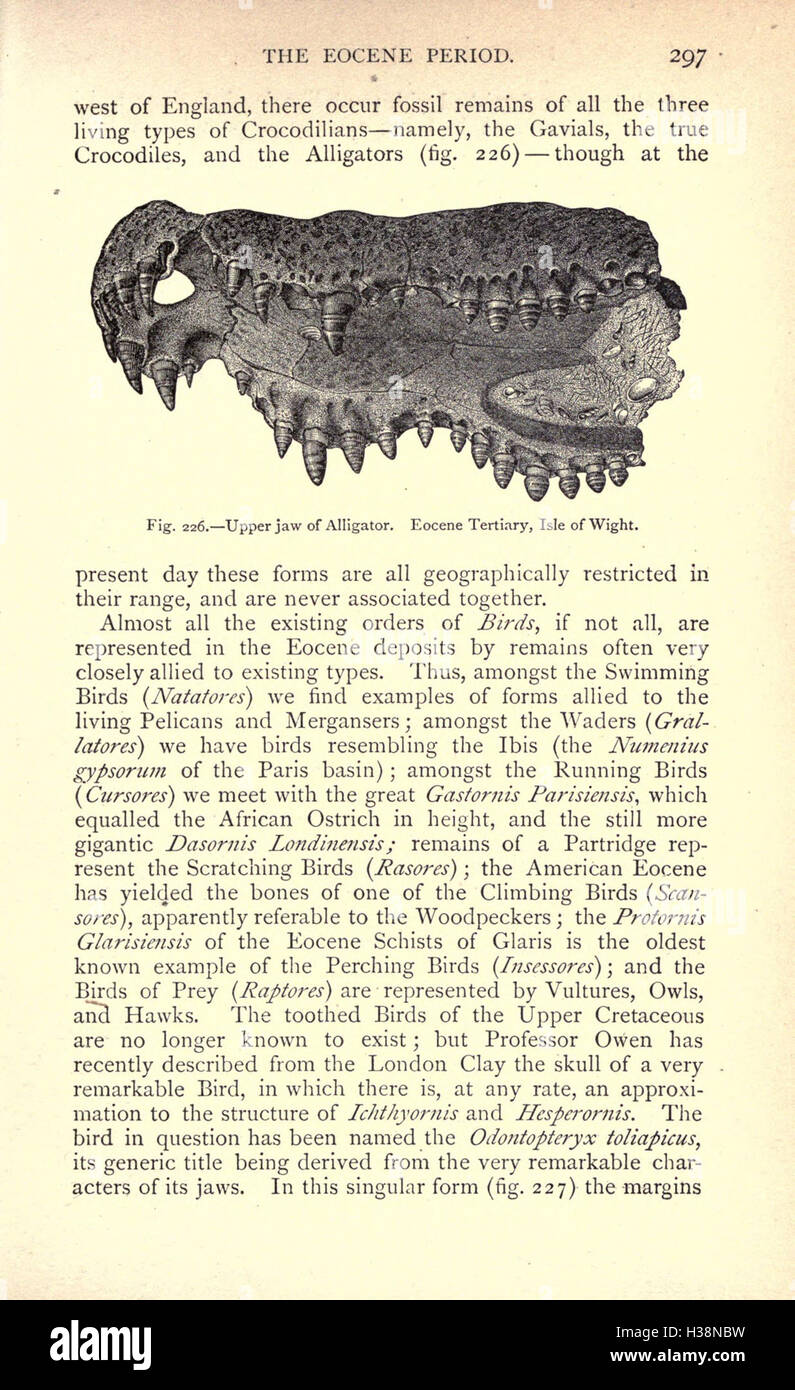 A study of the Earth's early history, focusing on the development of ...