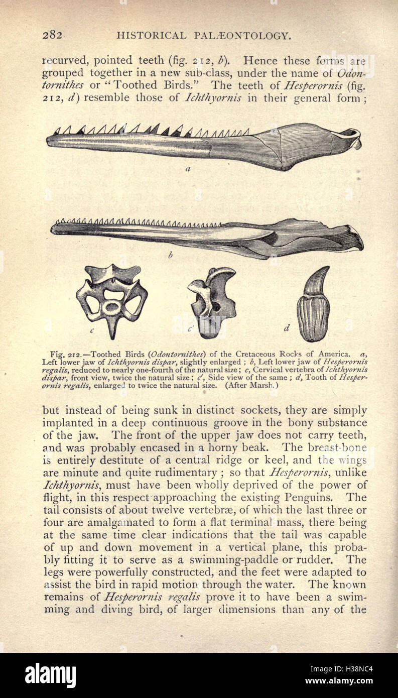 A scientific examination of the Earth's geological history, detailing ...