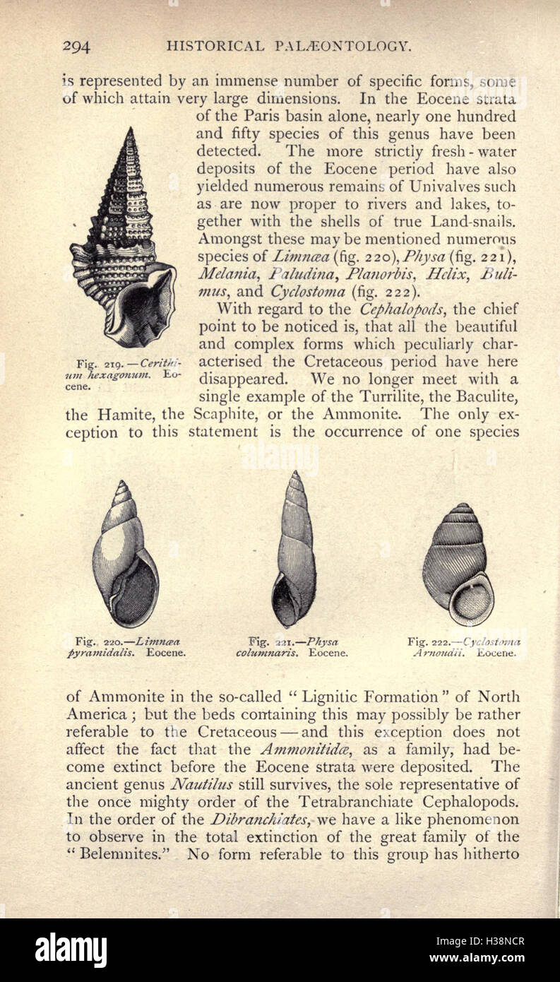 This page explores the history of life on Earth, examining the ...