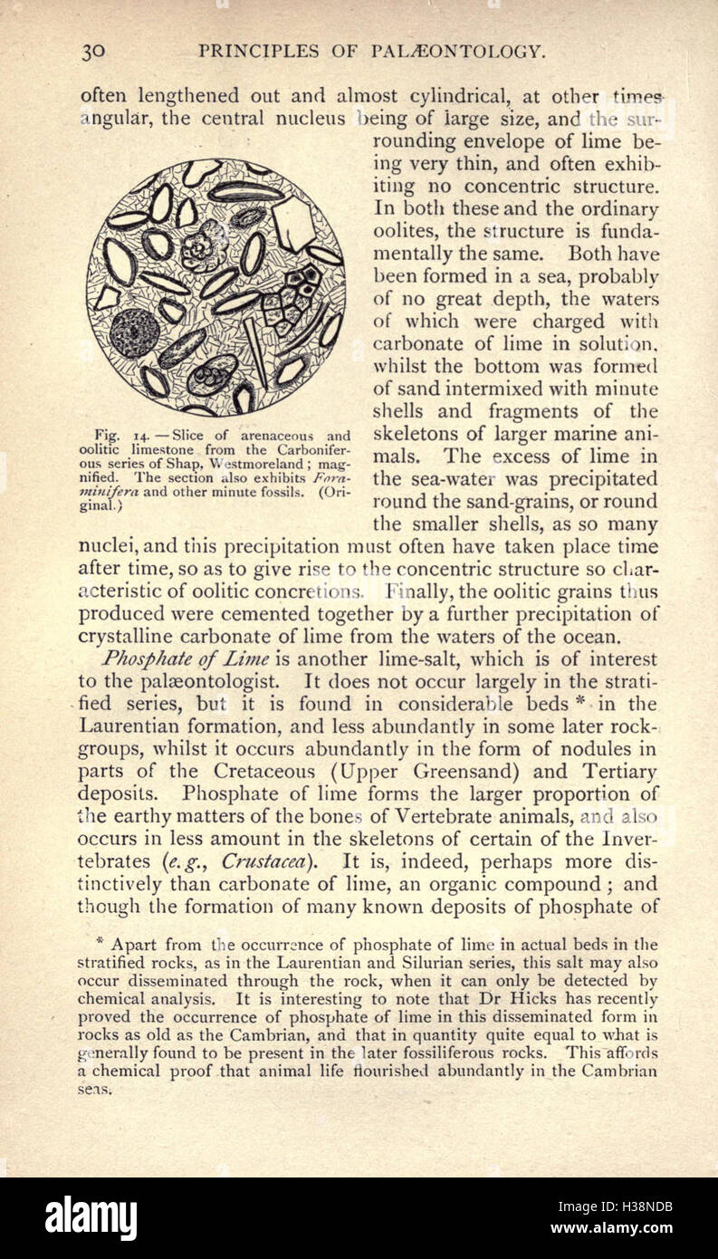 This page provides a summary of the Earth's ancient life history, from ...