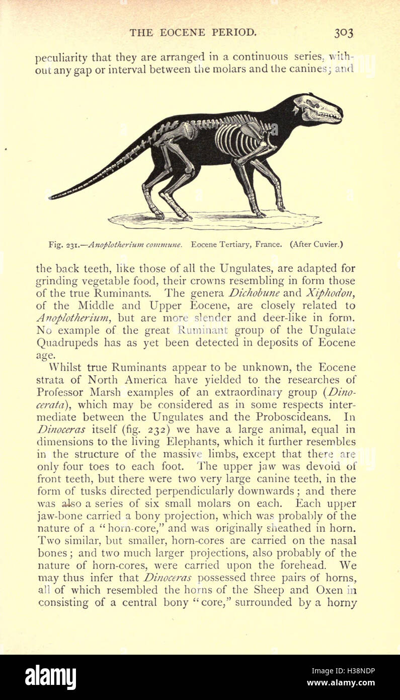 This work outlines the geological history of Earth, focusing on the ...
