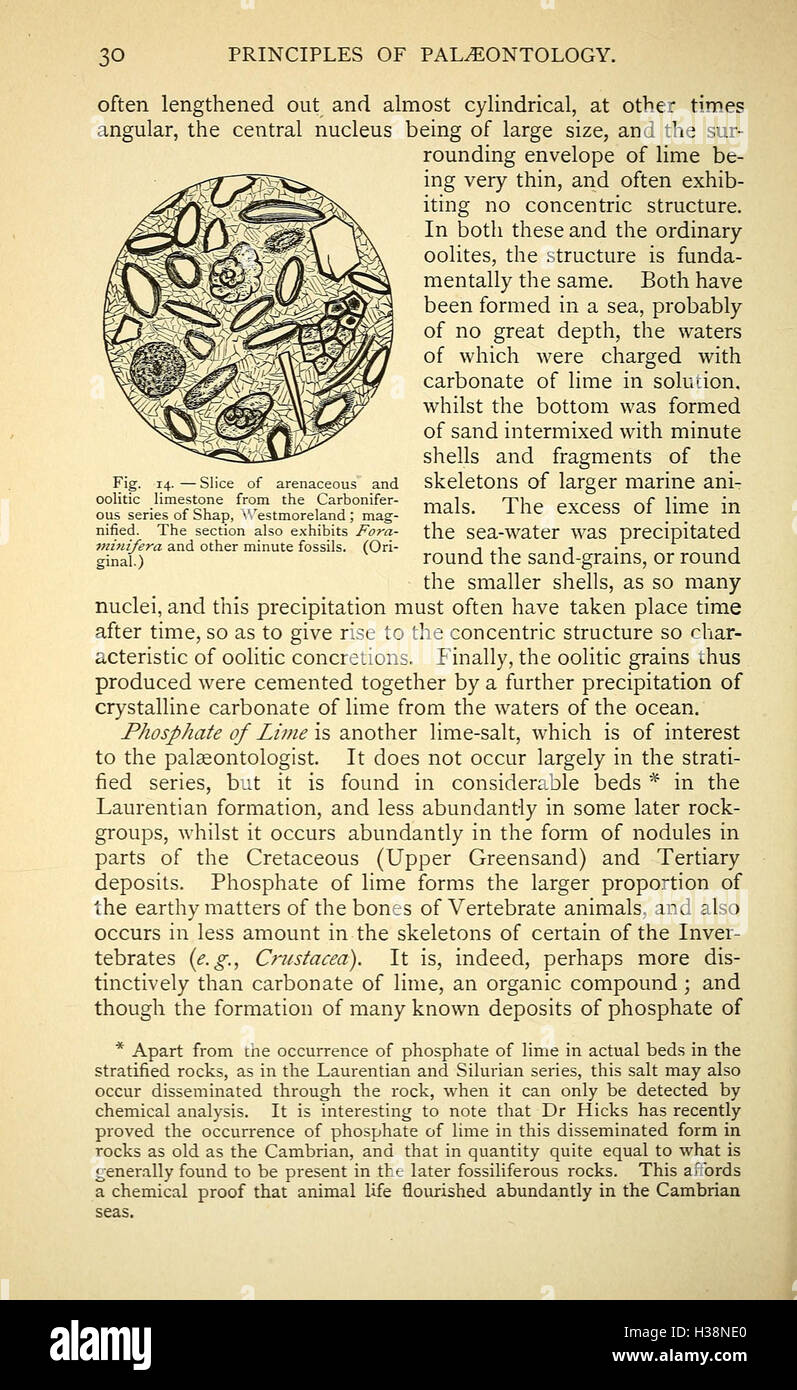 This book provides an exploration of Earth's geological history ...