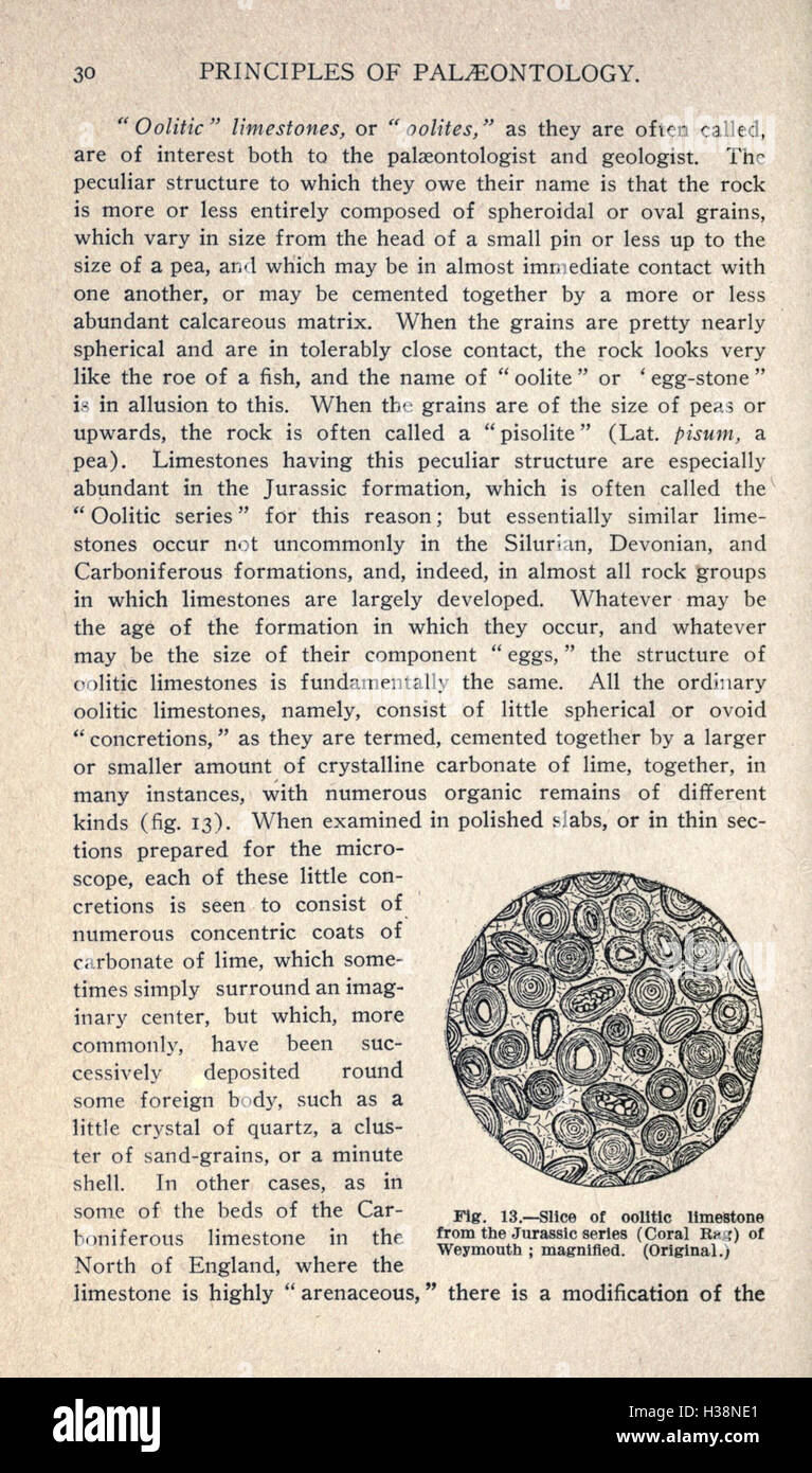 This text outlines the ancient life-history of Earth, focusing on the ...