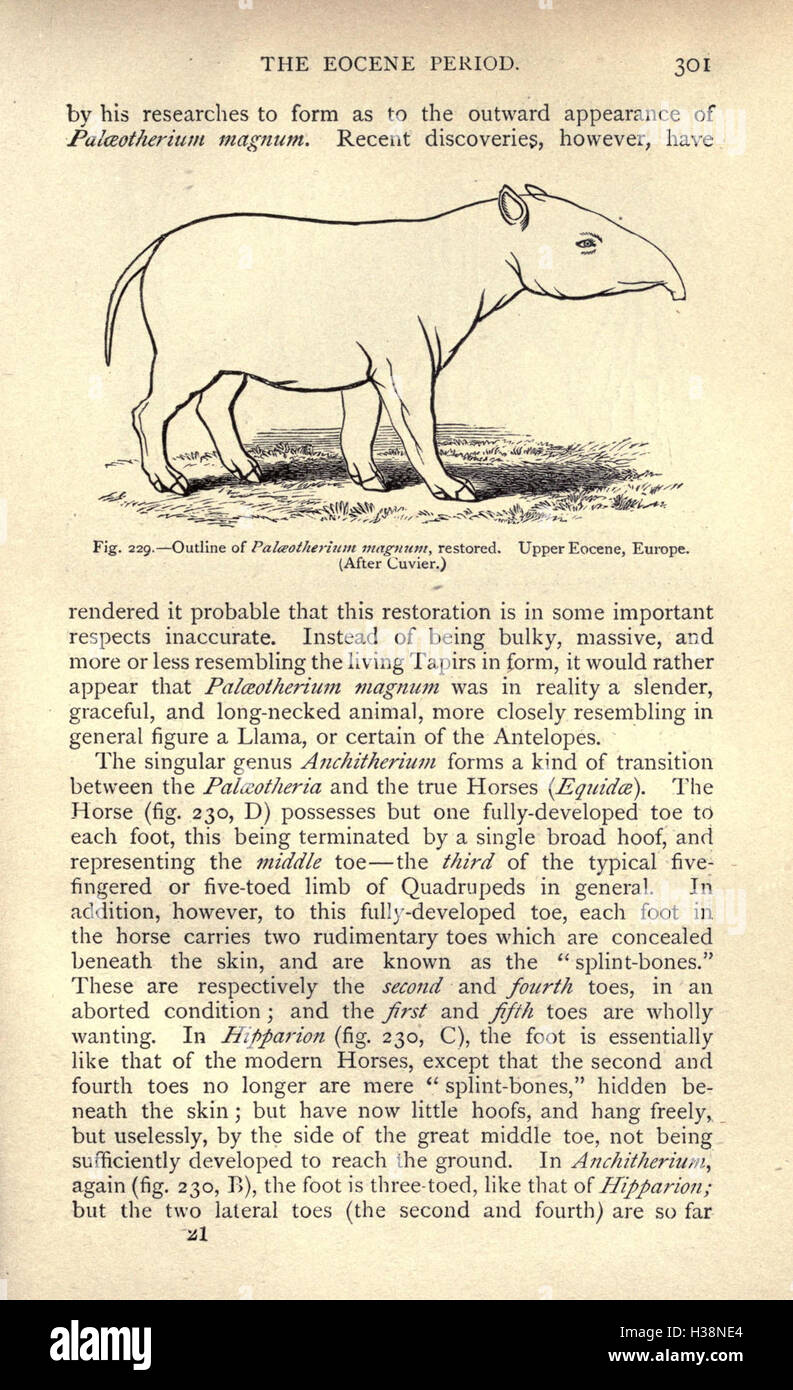 This book examines the geological and biological history of Earth ...