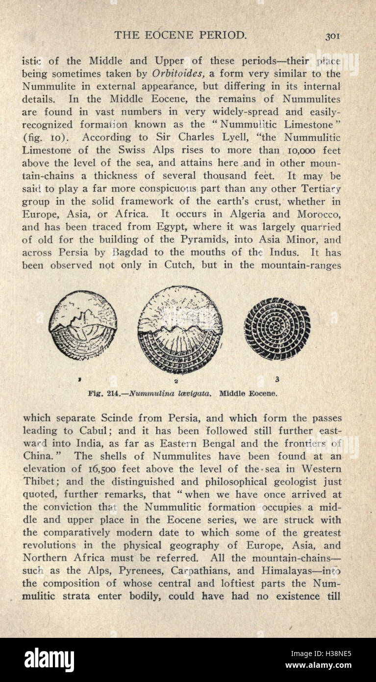 An exploration of the Earth's ancient life forms, highlighting key ...