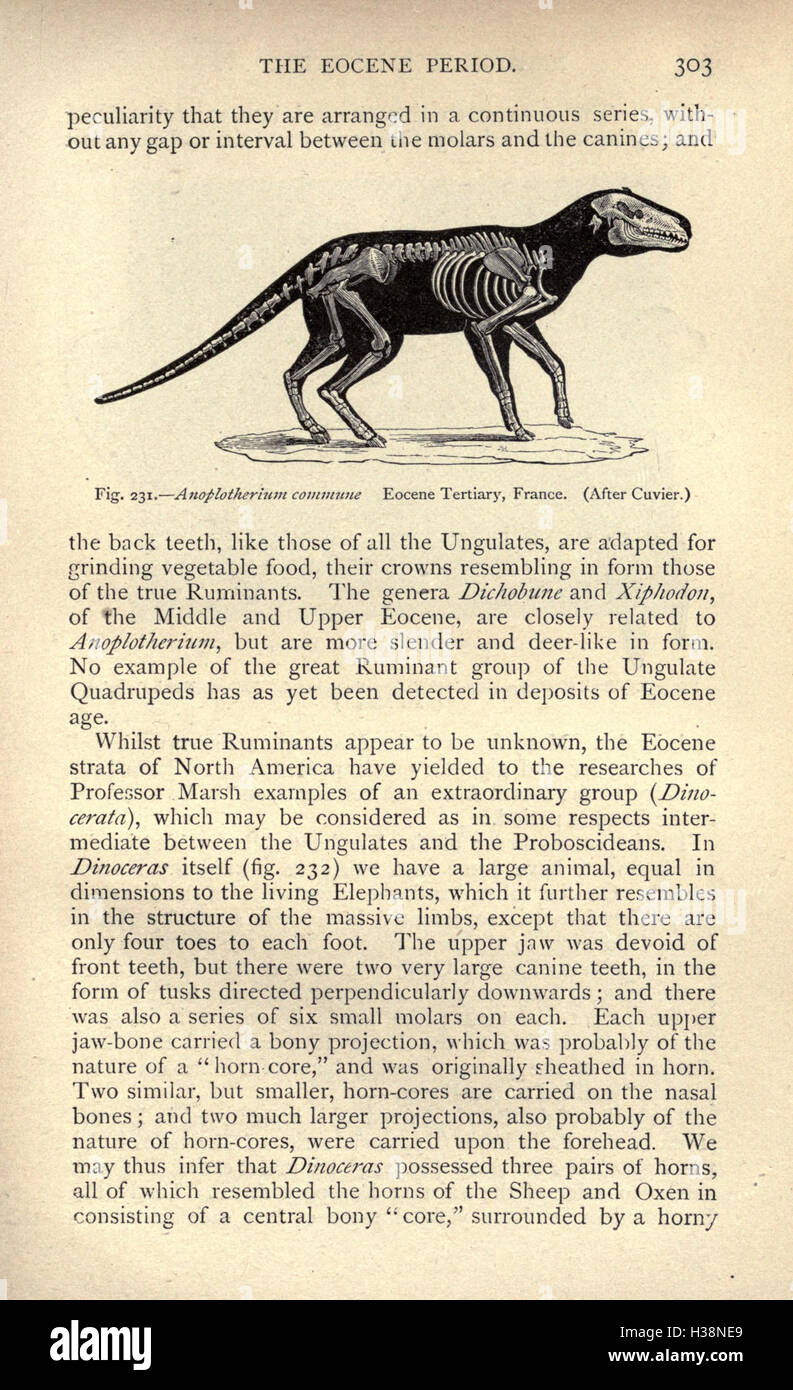 This work delves into Earth's ancient life-history, examining the ...