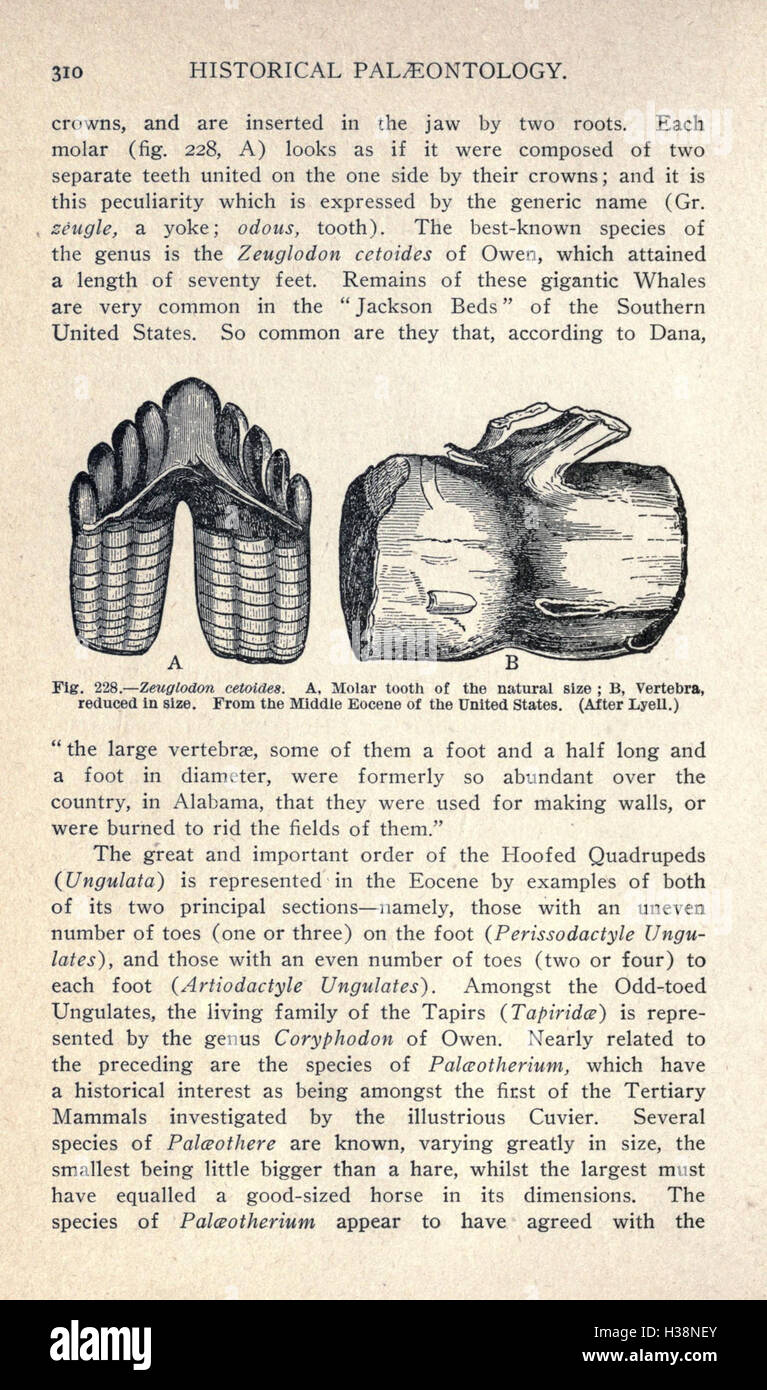 This book outlines the geological and biological history of Earth ...