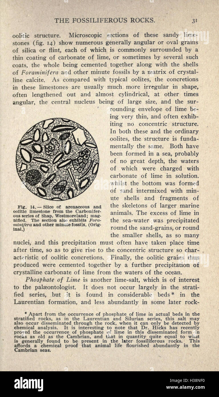 This text examines the geological and biological history of Earth ...