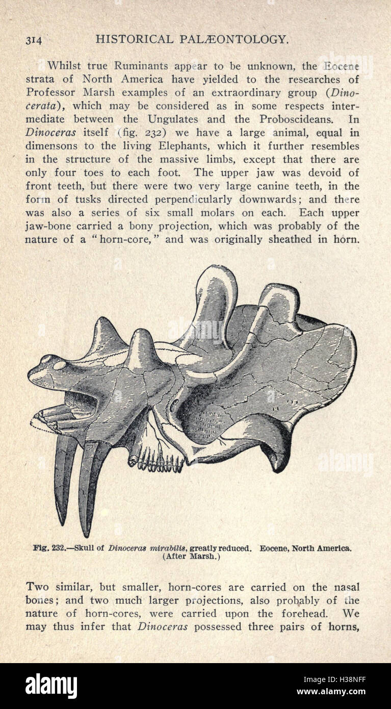 This text explores the geological and biological history of Earth ...