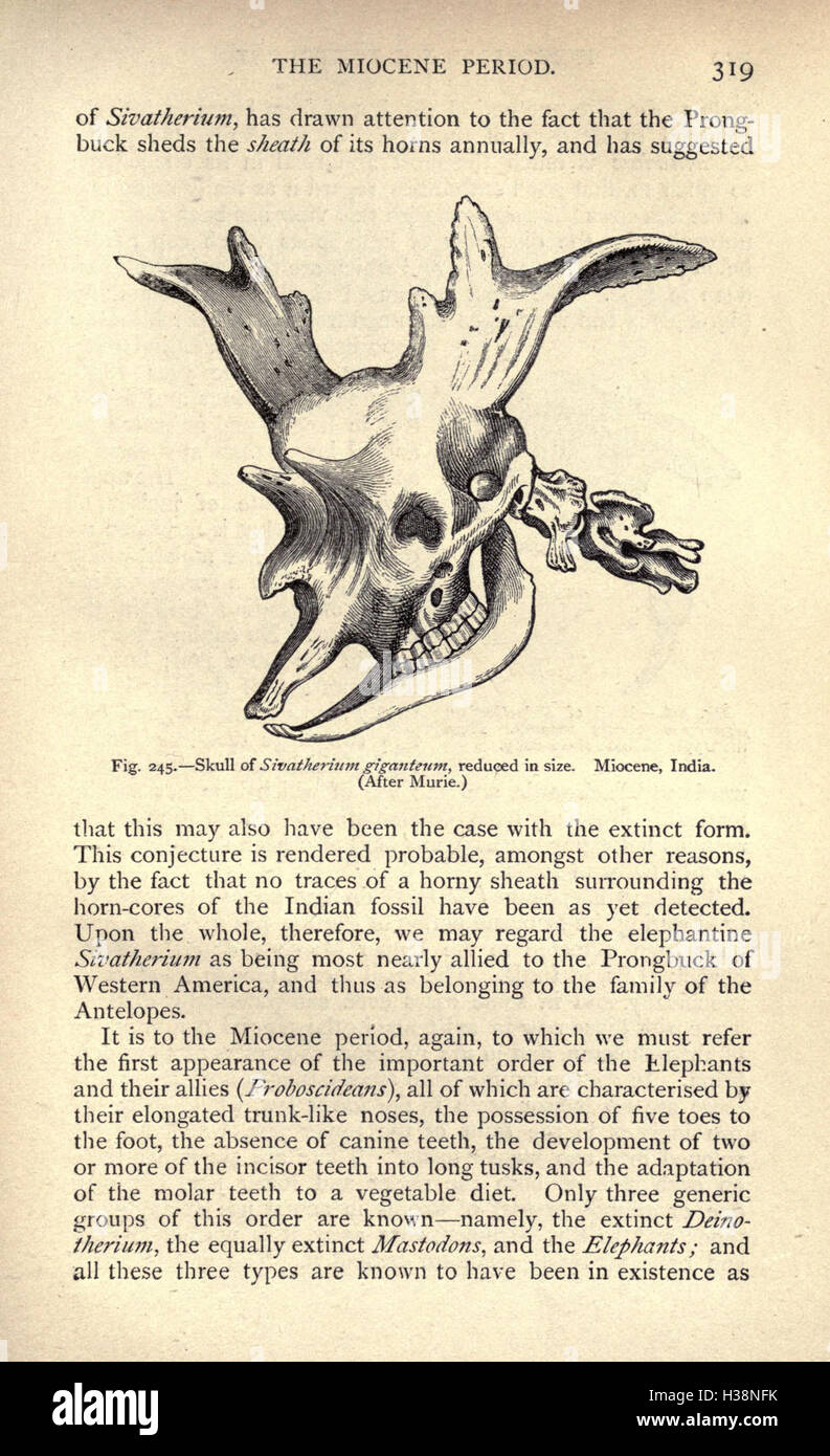 'The Ancient Life-History of the Earth' explores the development of ...