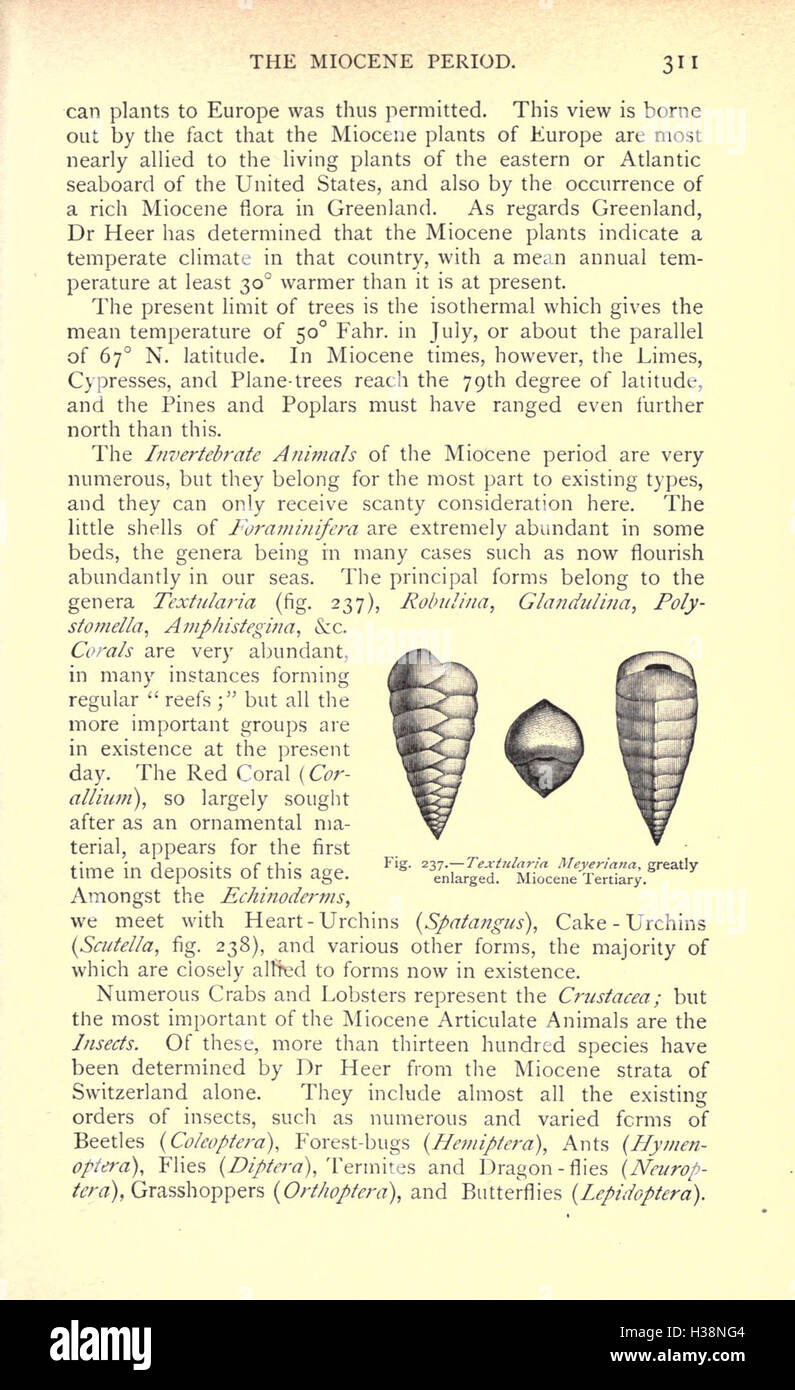 This text outlines the ancient geological history of Earth, discussing ...