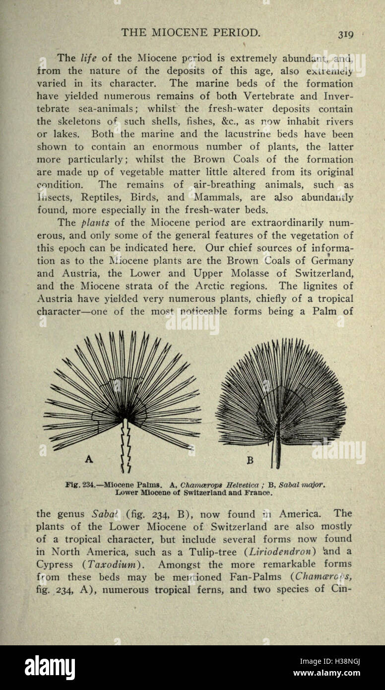 This work explores the history of Earth’s lifeforms, from early ...