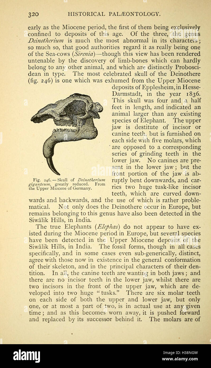 This text examines the geological history of Earth, focusing on the ...