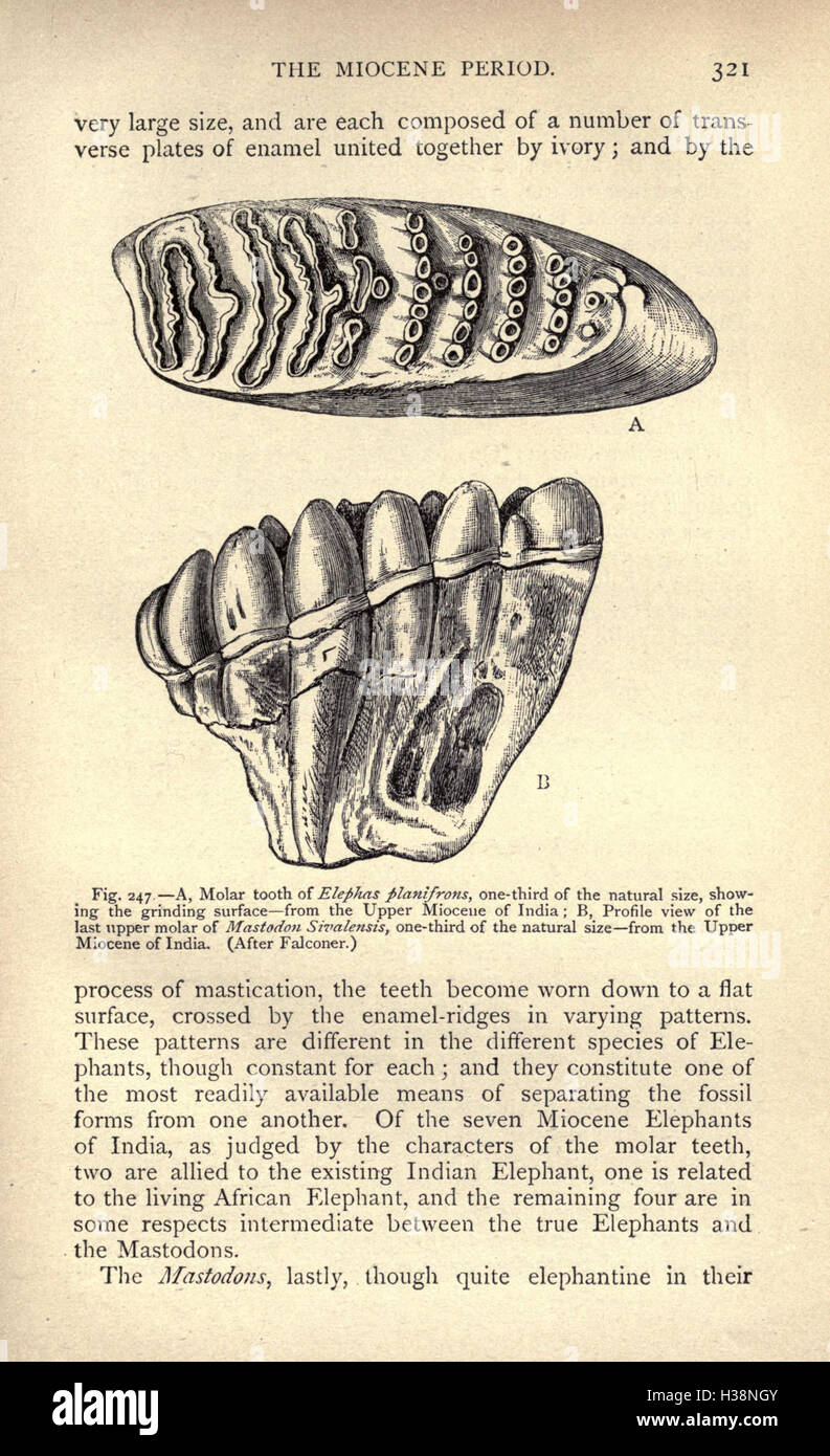 This text outlines the evolution of life on Earth, tracing the ...