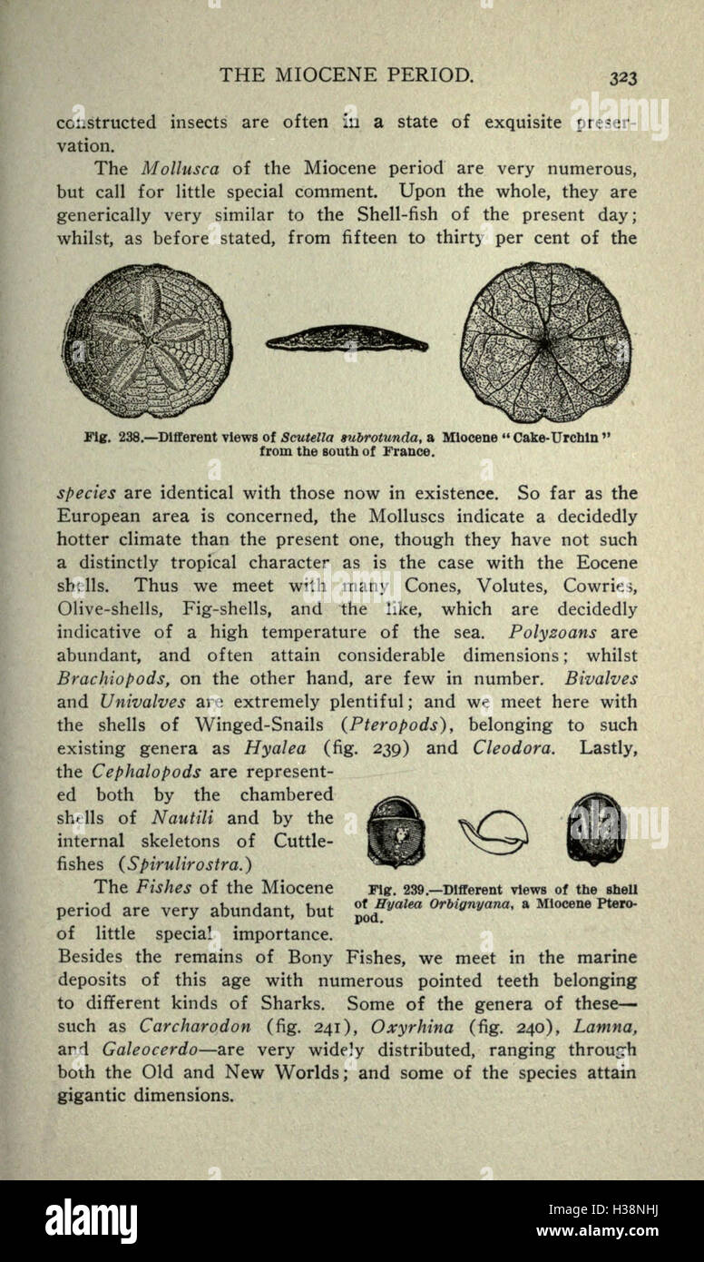 This section of the work explores the geological and biological ...