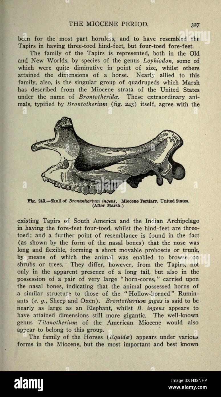 This work explores the Earth's history through ancient geological and ...