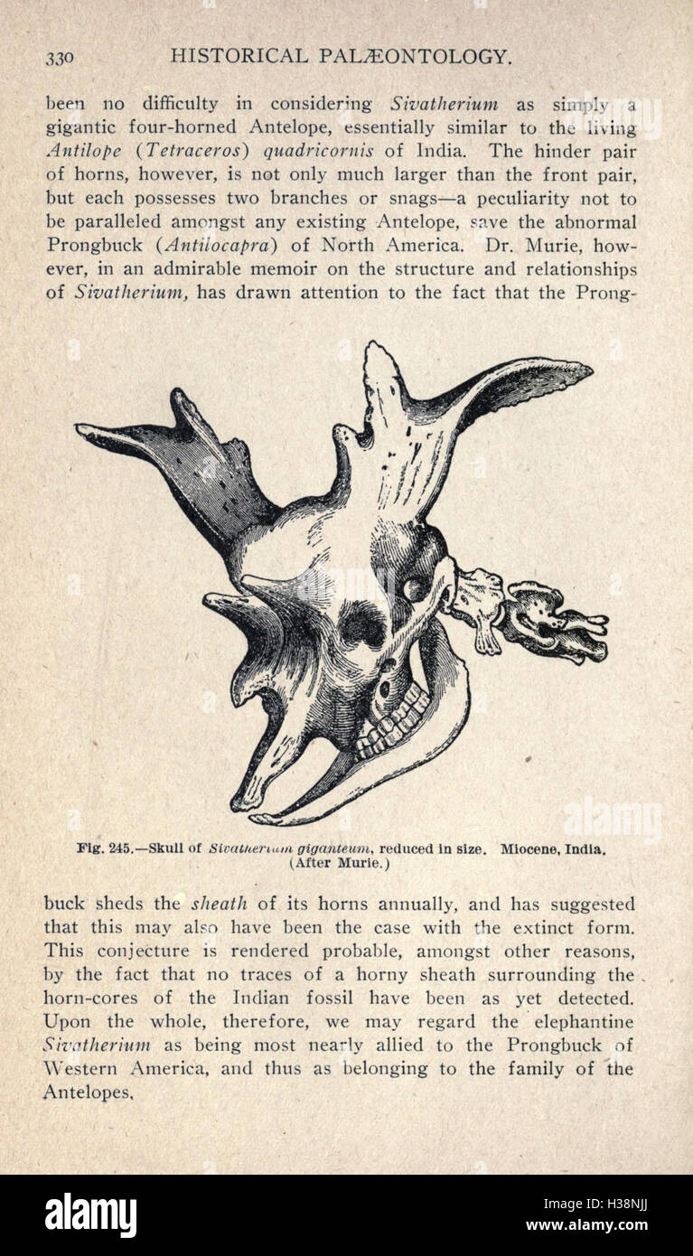 This text outlines the history of life on Earth, tracing the evolution ...