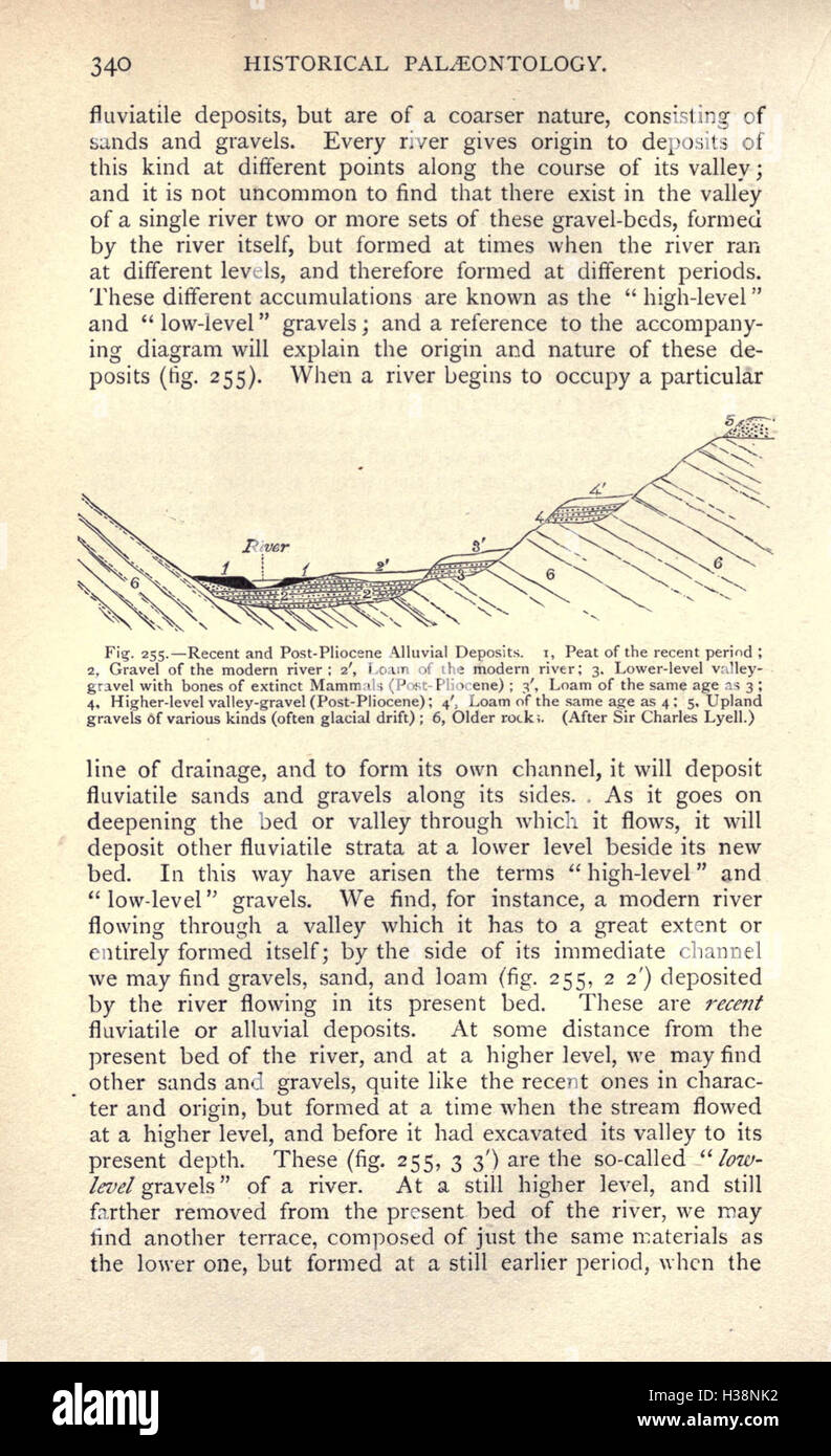 This work explores the history of life on Earth, from the earliest ...