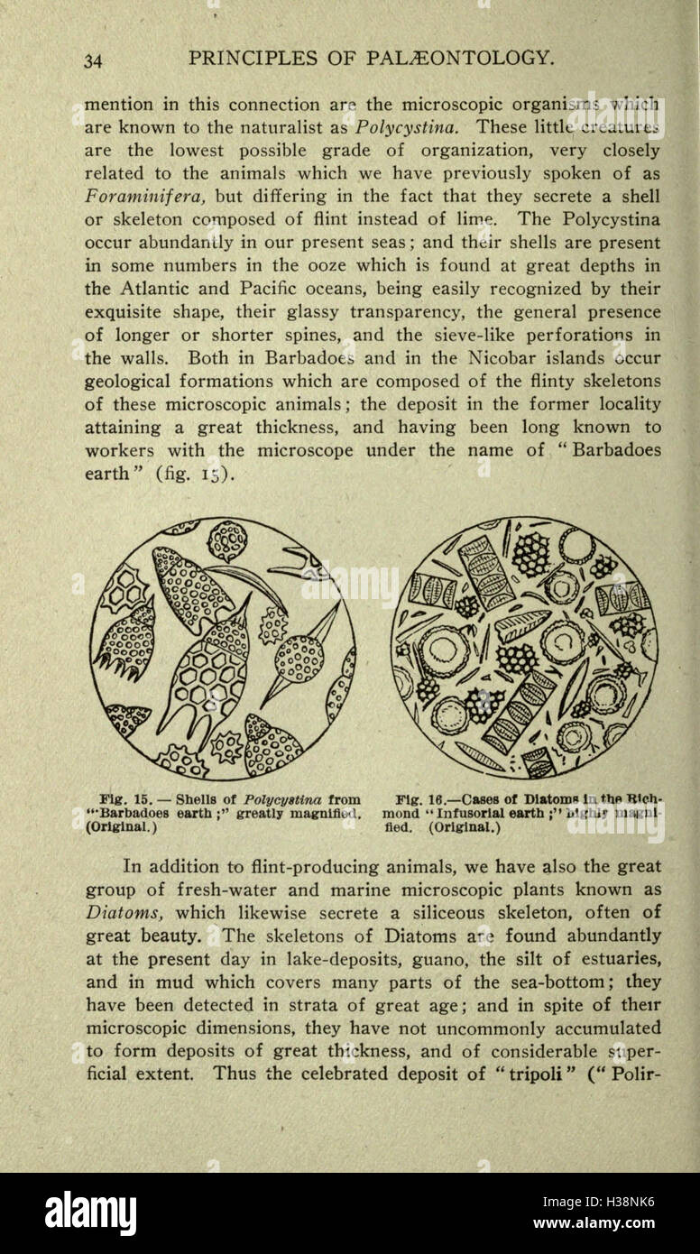 This work outlines the history of life on Earth, focusing on major ...