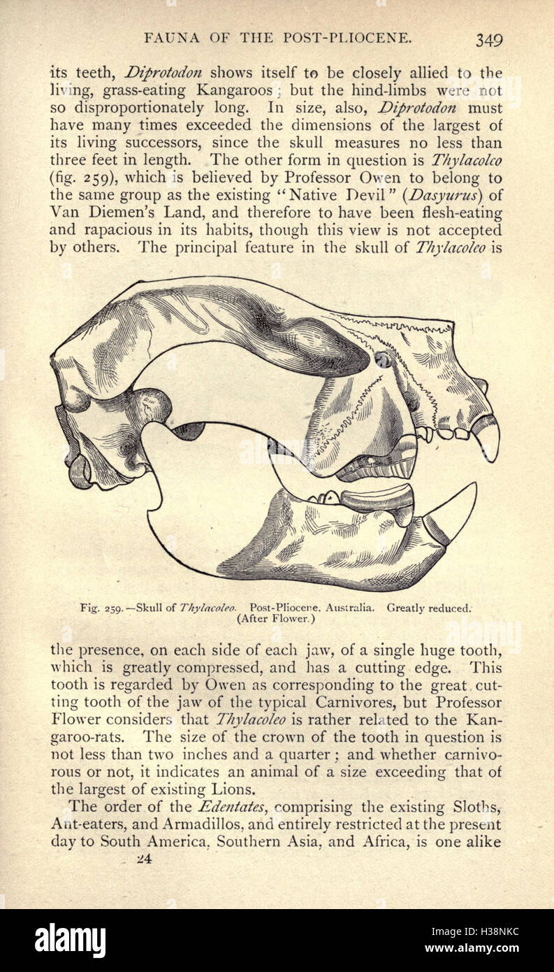 This work delves into the ancient life-history of Earth, exploring the ...