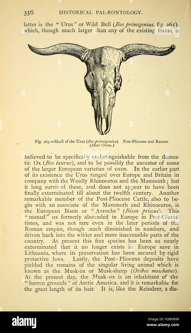 This work traces the ancient life-history of Earth, detailing key ...