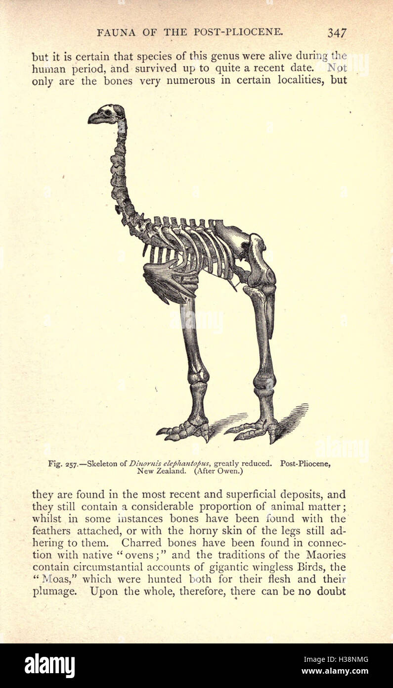 This section delves into the later stages of Earth's life history ...