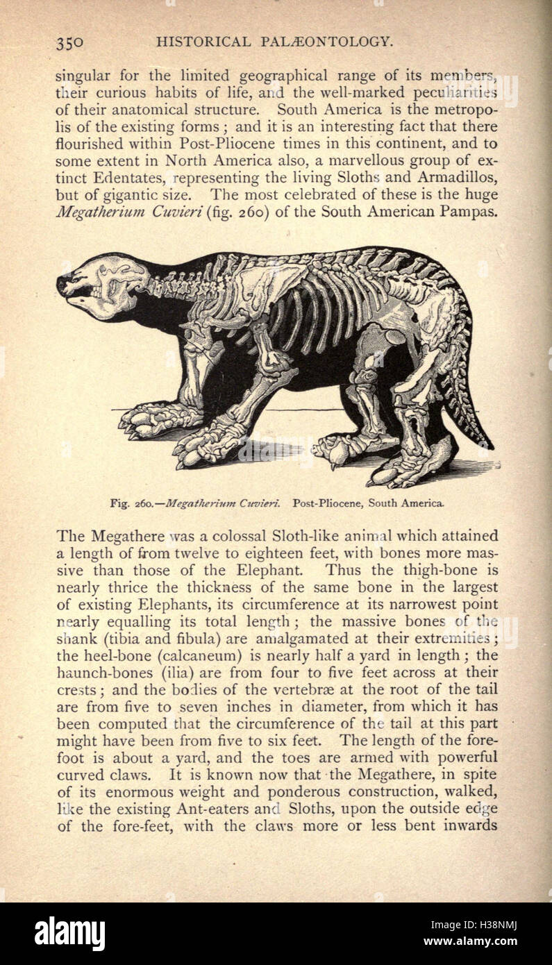 A detailed exploration of the Earth’s biological history, focusing on ...