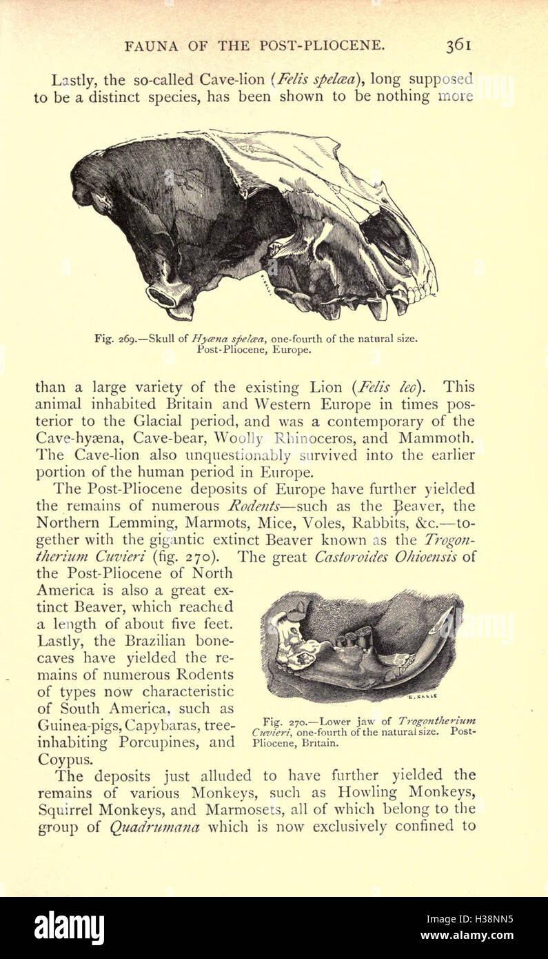 This text explores the geological and biological history of Earth ...