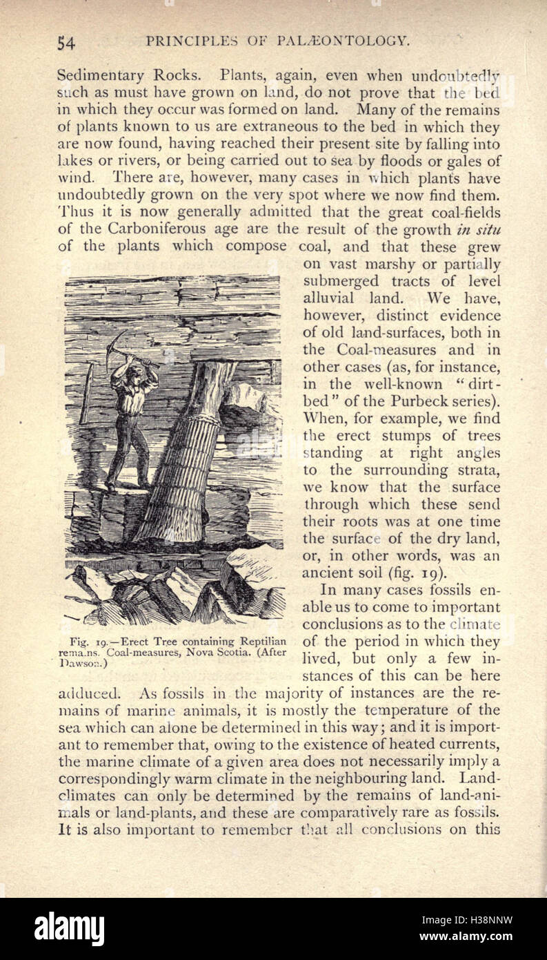 This work outlines the history of life on Earth, from early life forms ...