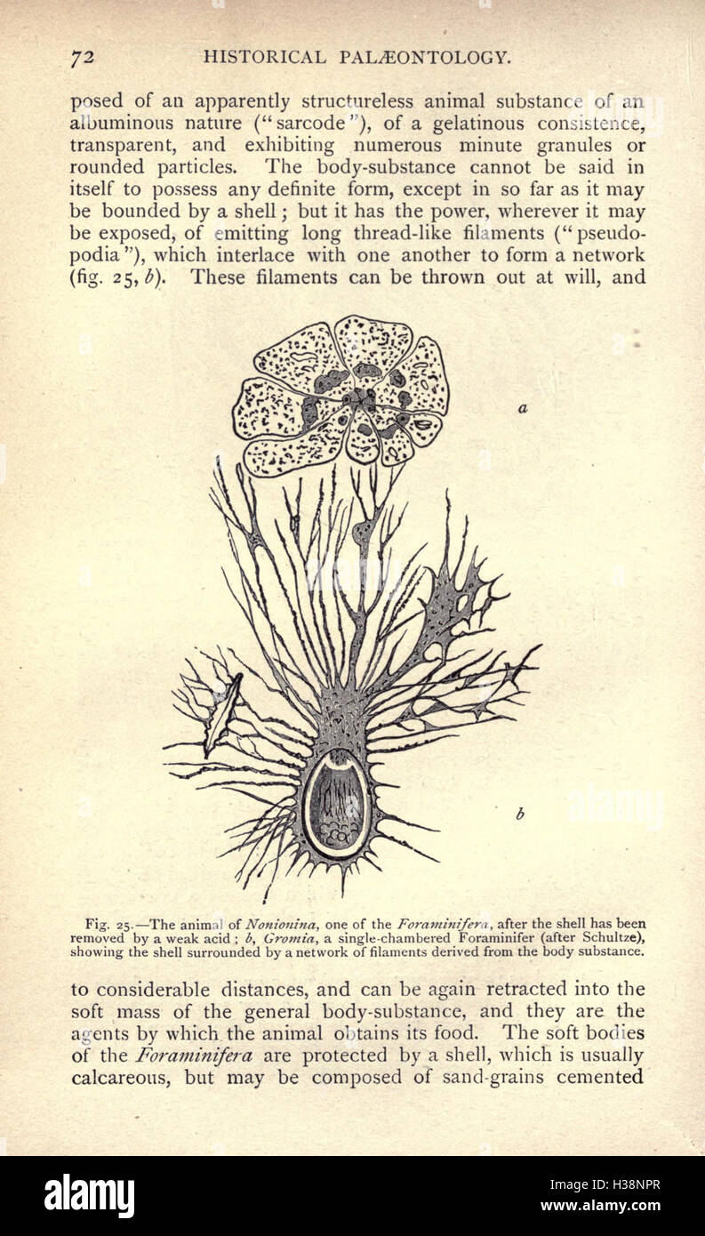 This text examines Earth's ancient life-history, focusing on early ...