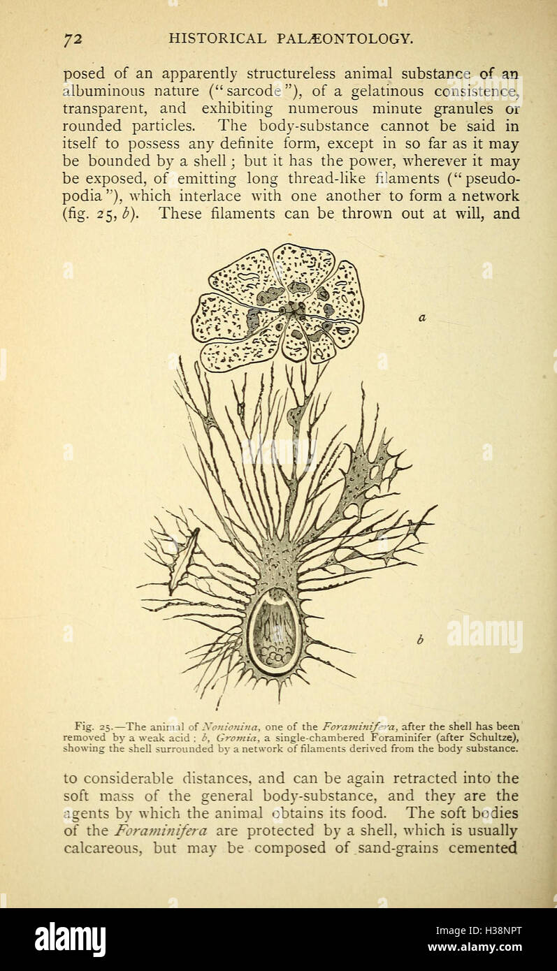 This work covers the history of life on Earth, exploring key stages of ...